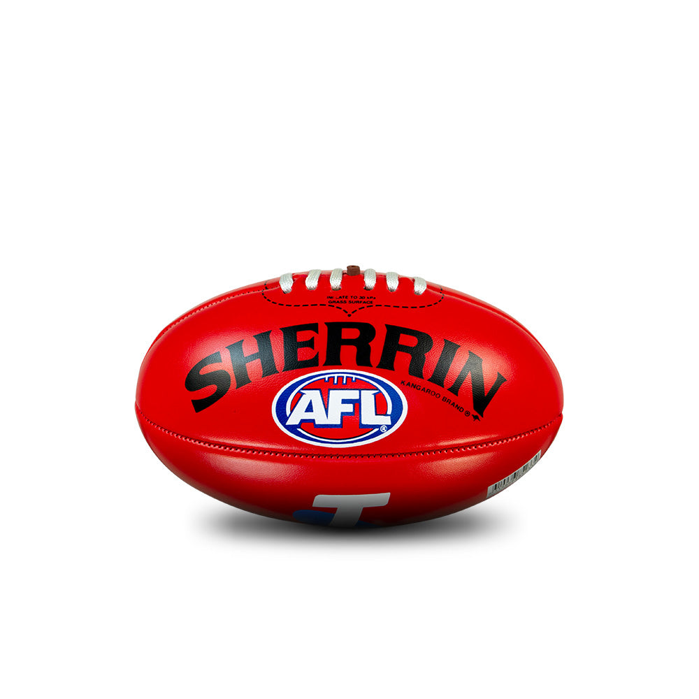 Sherrin 2024 AFL Grand Final 20cm Mini Football – The AFL Store
