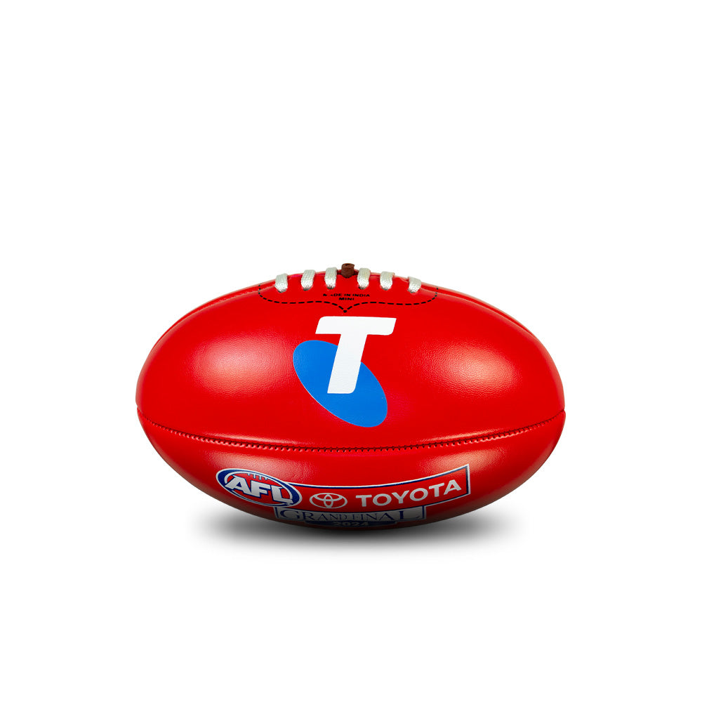 Sherrin 2024 AFL Grand Final 20cm Mini Football – The AFL Store