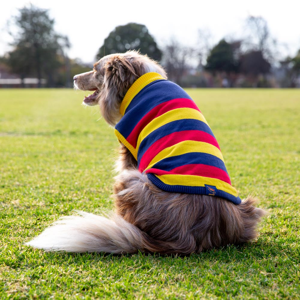 Adelaide Crows Dog Jumper - Large – The AFL Store