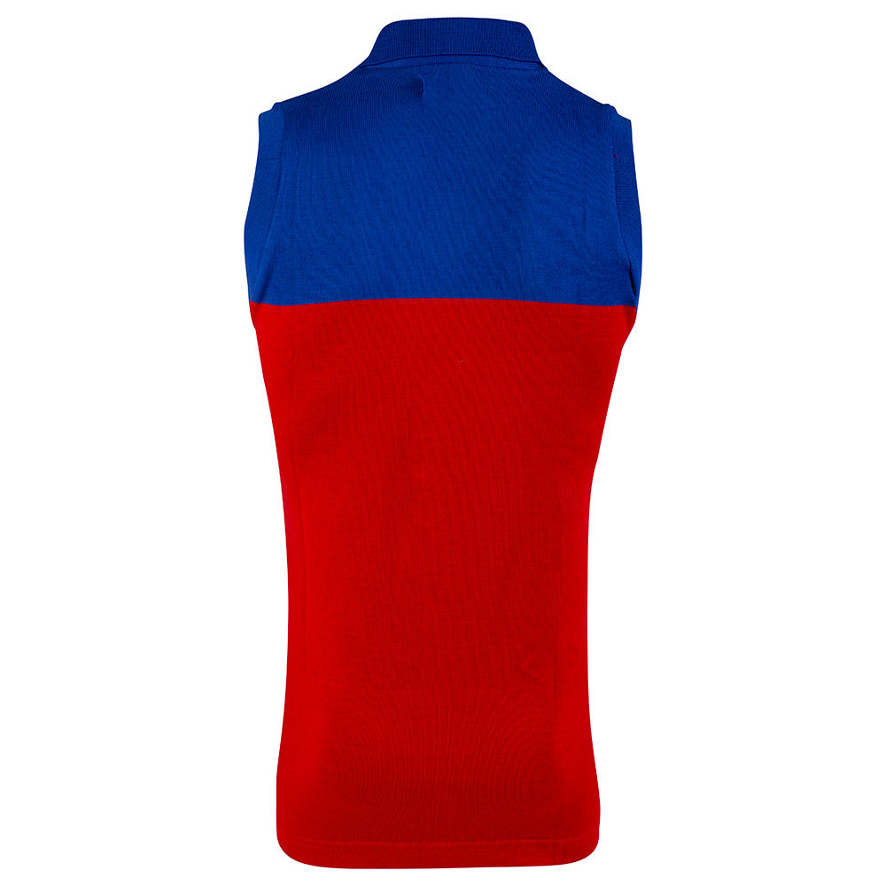 Fitzroy Lions Mens Wool Sleeveless Vintage Jumper – The AFL Store