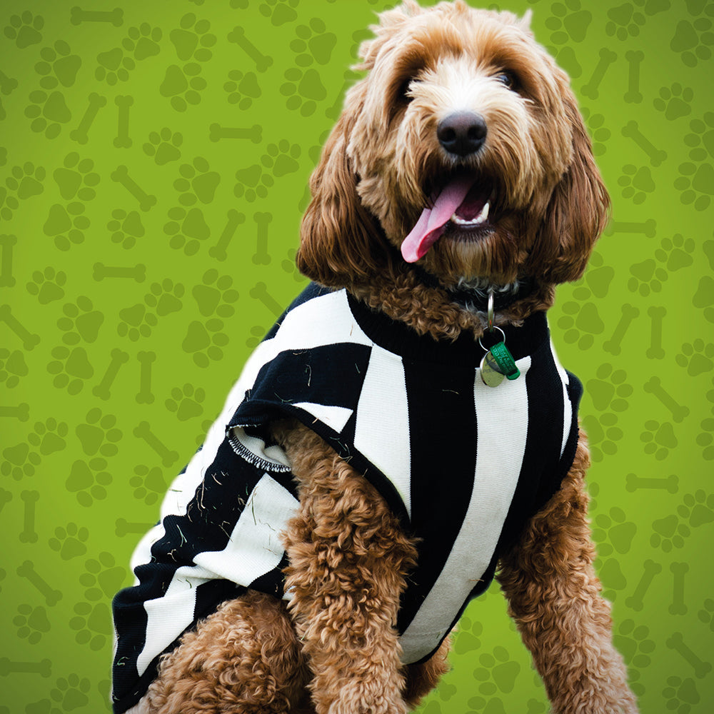 Collingwood Small Dog Jumper – The AFL Store