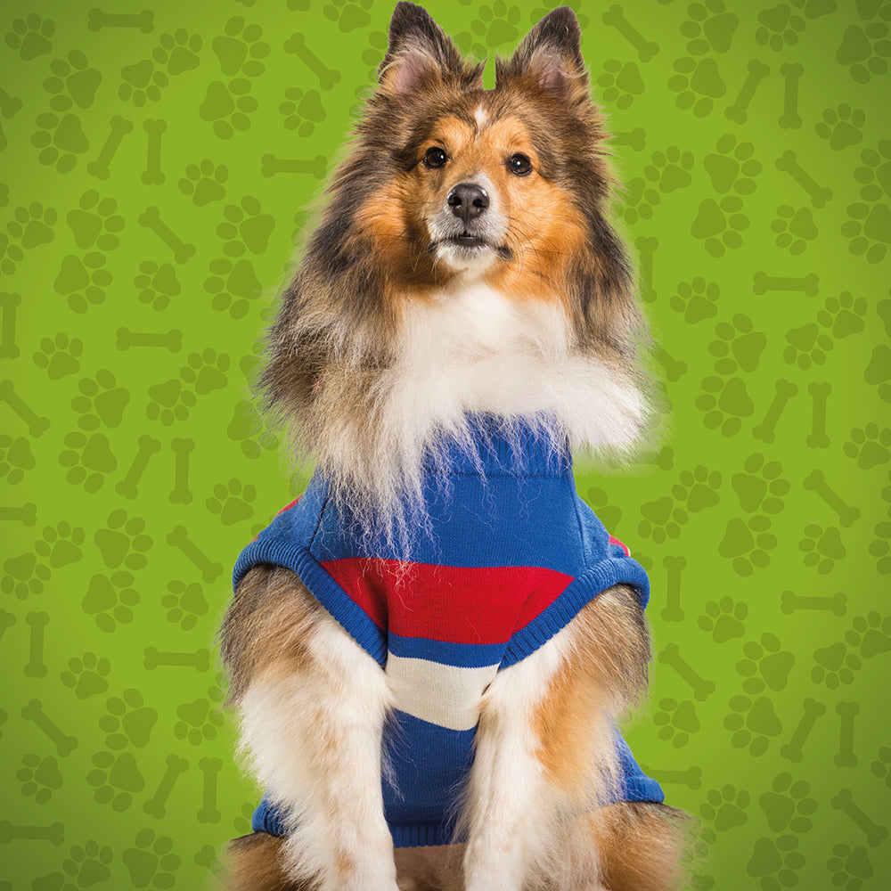 Western Bulldogs Large Dog Jumper – The AFL Store